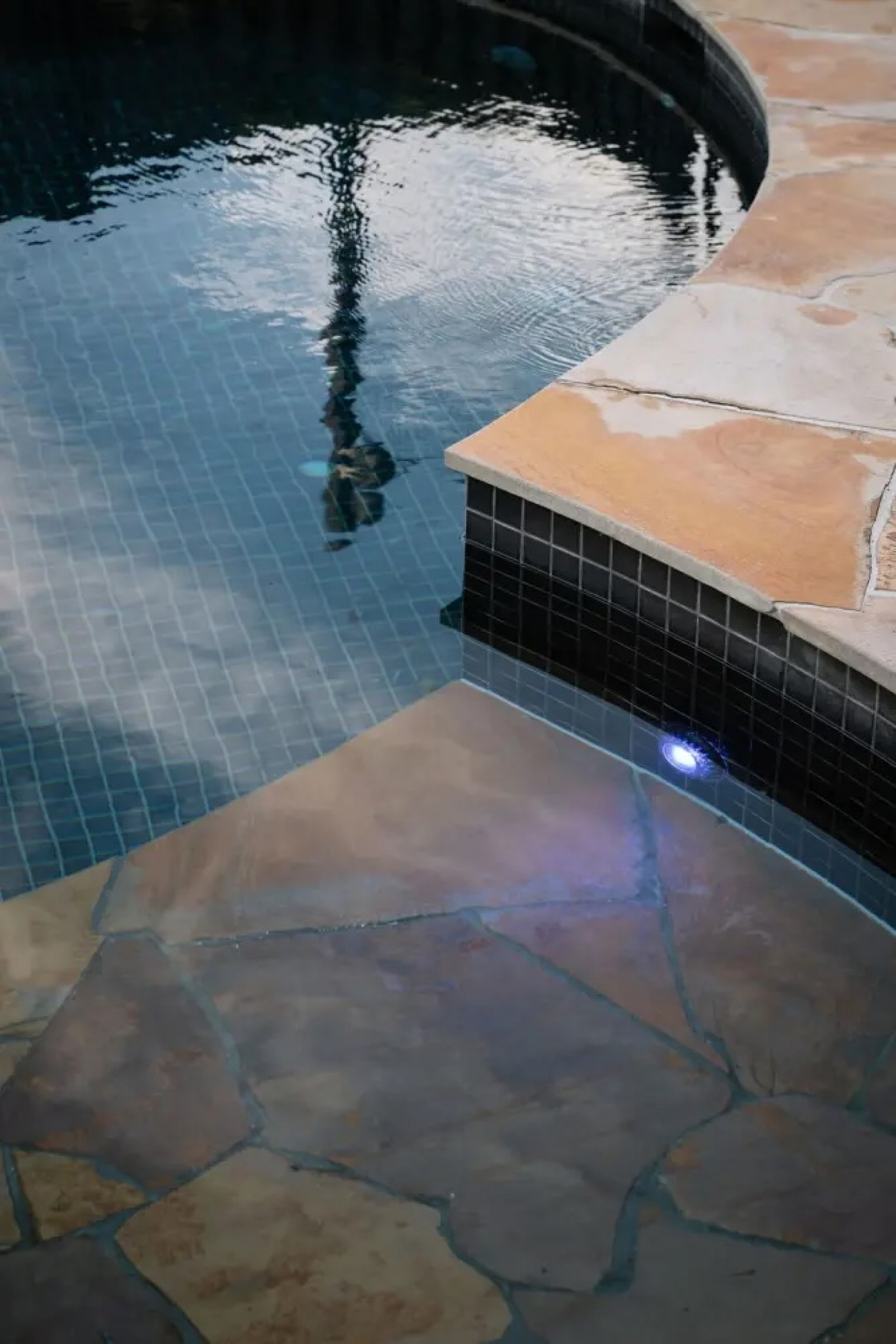 Award Winning Pools and Spas from the 2025 SPASA Victoria Awards | SPASA